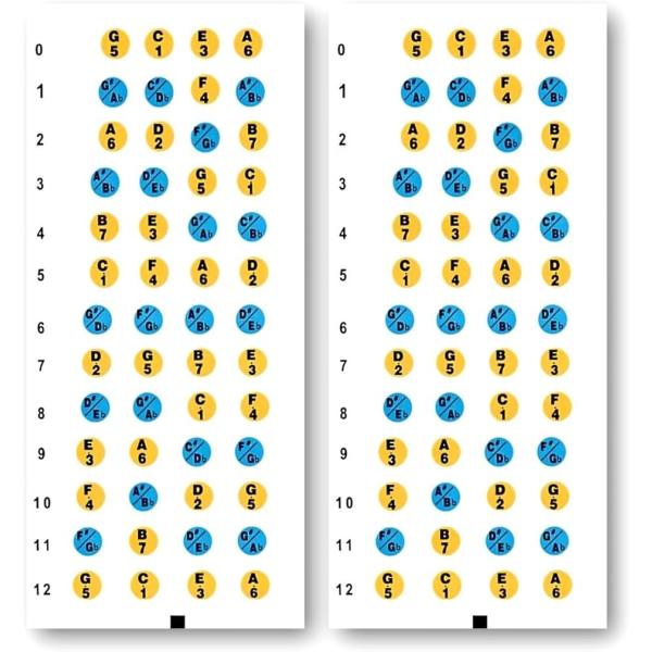 バリエーションコード : 2B8LIPN08Tウクレレの指位置や音名、スケールやコードの押さえ方を視覚的に学べる指板（フレットボード）ステッカー。教則本や楽譜本、プリント楽譜などから音程やメロディーを読める学べる指板（しばん）シールセットで...