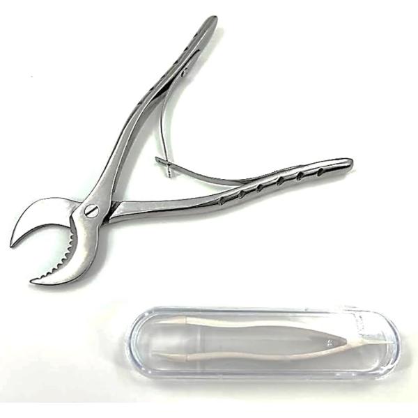 バリエーションコード : 2B95KICOO5「産卵材割り取り出しに選べる3種類」材割りペンチ18cm＋ピンセット／ 材割りペンチ20cm＋ピンセット／材割りペンチ18cm／20cm＋ピンセット「朽木 やレイシ材等の剥がしに」カブトムシ ク...