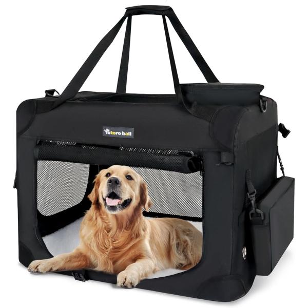 バリエーションコード : 2B9G0FYWPX