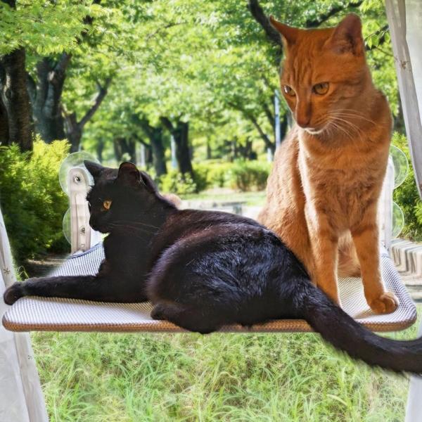 バリエーションコード : 2BJ0LF5NN9「耐荷重24kgの猫ハンモック」猫 窓用 ハンモックの急所である吸盤は改良された大型の最新吸盤を使用しています。自社テストでは耐荷重24kgまで実施し問題ありません。大きめサイズの猫2匹でも余裕...