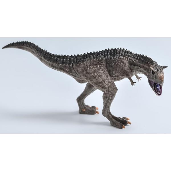 バリエーションコード : 2B6D5XNCRQ細部までこだわったリアルな恐竜になります。手作業で作業しておりますの多少の色が違う可能性もあります。カルノタウルスは、目の上に大きめの円錐状の角を持つ。角のある肉食の獣脚類としては、角竜類以外で...