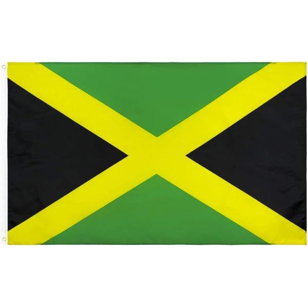 バリエーションコード : 2BJDRQ8WHXポリエステル製の生地で風にしっかりとなびきます。水に濡れてもすぐに乾きます。がっしりとしたハトメ付です。紐やフックで使用して下さい。非常に濃い印刷に致しましたので遠目からでも存在感あります。