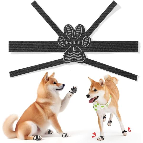 バリエーションコード : 2BJXPKDVPN「犬の必需品」肉球の大切さ。犬の肉球の表面は、小さな円錐状突起の集まクでできています。これが蹴って走る時に重要です。但し、怪我をすると皮膚の再生能力が低く、治リにくい箇所です。表皮の硬い部分は血...