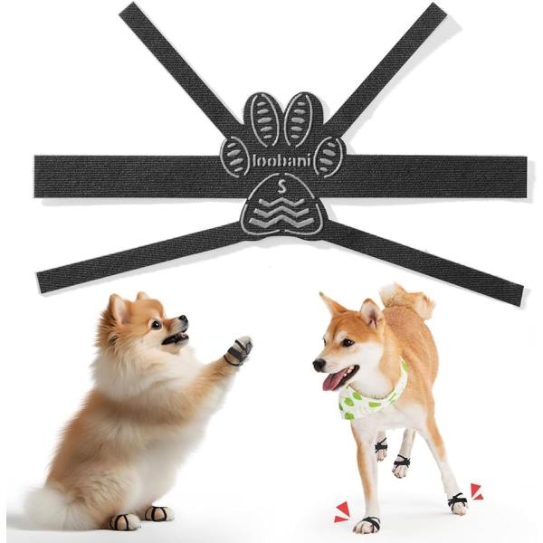 バリエーションコード : 2BJXPKDVPN「犬の必需品」肉球の大切さ。犬の肉球の表面は、小さな円錐状突起の集まクでできています。これが蹴って走る時に重要です。但し、怪我をすると皮膚の再生能力が低く、治リにくい箇所です。表皮の硬い部分は血...