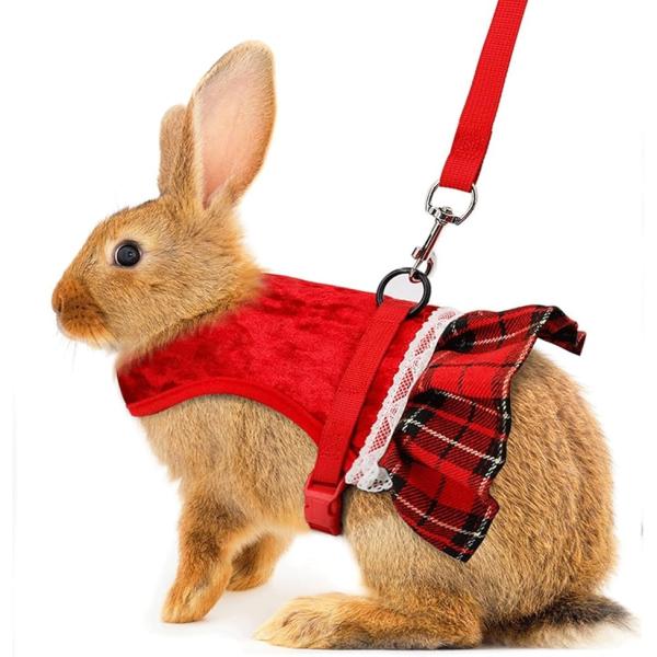 バリエーションコード : 2BR514L2Q4お散歩や通院を、もっと軽やかに、もっと楽しく。ウサギ、フェレット、モルモット、子猫、子犬との散歩を快適に。このハーネス リード セットは、小動物たちの動きを妨げない胸当てタイプで、初めての散歩や...