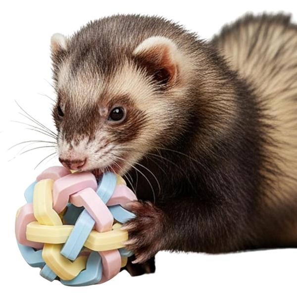 バリエーションコード : 2BRHYSGG5S鈴入りで興味を引きつけるカラフルボール_明るい色と内部の鈴がフェレットの狩猟本能を刺激し、転がす・くわえる・追いかけるといった多彩な遊びを引き出します。軽快な鈴の音で、フェレットが夢中になるだけ...