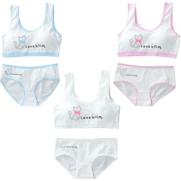 バリエーションコード : 2BRITUQLH2可愛さと快適さを兼ね備えたジュニア用ブラ＆ショーツセット　初めてのブラジャーに最適なこのジュニア用ブラとショーツの上下セットは、小学校高学年から中学生のおしゃれな女の子にピッタリです。可愛い猫ち...