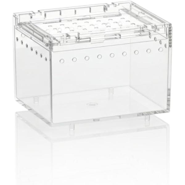 バリエーションコード : 2BRJN1O12I「クリアに観察」透光率約98.5%のアクリルを採用。生体の色味や仕草まで見やすく、観察・記録・撮影がはかどります。アクリル厚は約3mmで、日常の移動や掃除で扱いやすい軽さを保ちながら、歪みにくさ...