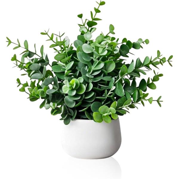 バリエーションコード : 2BU3KFVIWLデスク周りに癒しを添えるフェイクグリーン3点セット。コンパクトサイズで場所を取らず、ユーカリやシンゴニウムなど異なる葉の表情が空間に彩りを与えます。手間いらずで、忙しい方にもぴったりです。水やり...