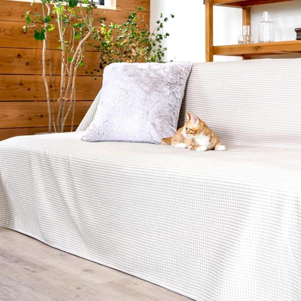 バリエーションコード : 2BU3R06P9U「ズレるストレスを解消」裏面滑り止め付き 「直してもすぐズレる…」というマルチカバー特有の悩みを解決。裏面には密度の高いシリコン滑り止め加工を施しました。ソファの上で小さなお子様やペットが動いて...