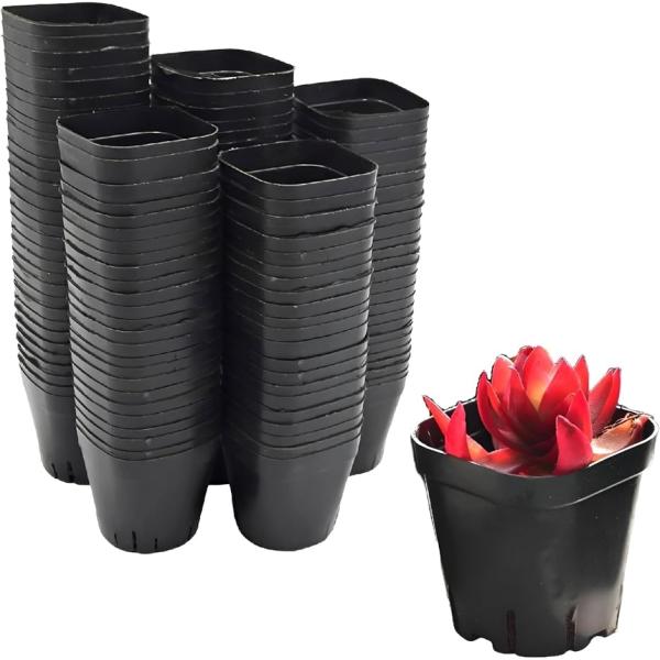 バリエーションコード : 2BUI5YVXXX