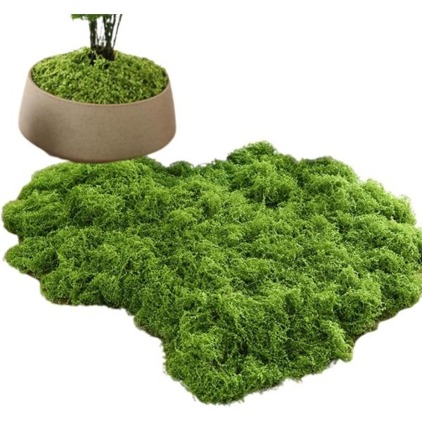 「本物みたいな質感。お手入れ不要でずっと美しい」自然の美しさをそのまま再現したかのような、リアルな見た目のフェイクモス。盆栽やテラリウム、お部屋のアクセントとして、手軽に豊かな緑をプラスできます。日光や水やりなどのメンテナンスは一切不要。枯...
