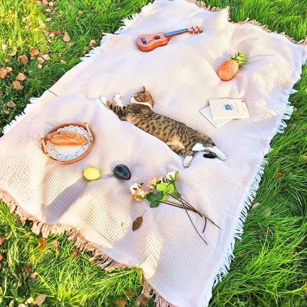 バリエーションコード : 2BULYXC54S「北欧風デザインでおしゃれな空間に」シンプルで温かみのある北欧風デザインが魅力のレジャーシートです。布製の柔らかな質感で、ブランケットのような心地よさを感じられます。お花見やキャンプ、遠足、運動...