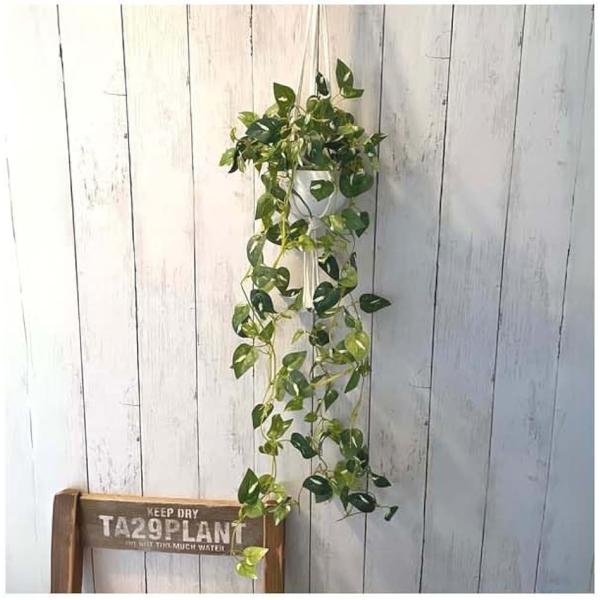 1. 手軽に楽しめるフェイクグリーン 本物の観葉植物のようなリアルな見た目を持ちながら、水やりや日光の管理が不要なフェイクグリーンです。虫の発生の心配もなく、衛生的に安心して楽しめます。お部屋に設置するだけで、自然な緑が安らぎと癒しの空間を...