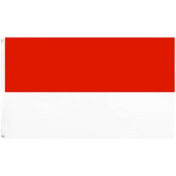 バリエーションコード : 2B9CKSFFFR「使い方いろいろ。存在感のあるハトメ式の国旗」公私ともに様々な使用用途が楽しめる大きめの国旗。ポール取り付け用の金属製通し穴もついているので取り付けも簡単。大きめですがポリエステル製なので軽量で...