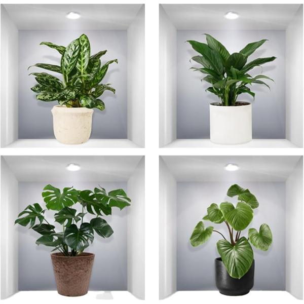 バリエーションコード : 2BUYDDC31C立体感のある３Dデザインで、お部屋が広く見える効果。フェイクウィンドウ観葉植物シール。水やり不要で枯れない観葉植物のウォールステッカー。本物そっくりの観葉植物ウォールステッカーで、お部屋に癒やし...