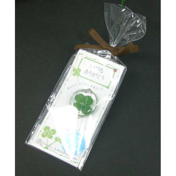 【重要】こちらの商品は天然クローバー使用の為、メーカー直送でお届けとなります。『アートホップ四葉クローバーアイテム』以外の他商品との同時購入時でも単品で別出荷となります。ご了承ください。シンプルで癖のない四葉のクローバーのチェーンホルダーサ...