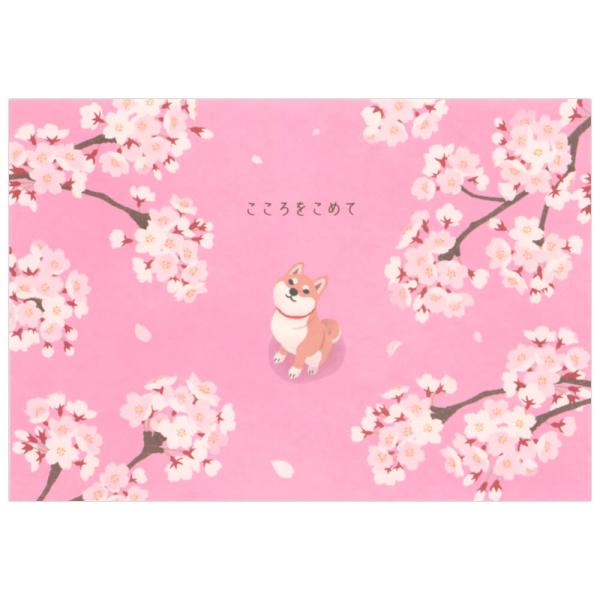満開の桜を見上げる柴犬が、桜の花とともにありがとうの気持ちを伝えます。年上の方にもお使いいただける、華やかな中にも落ち着きのあるデザインのカードです。◇パッケージサイズ：W110×H165×D2mm◇カードサイズ：W148×H102mm（閉...