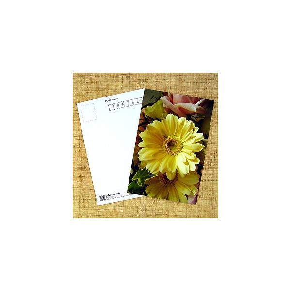 携帯・スマートフォン向け花の待ち受け画像サイト「mobile flower pot」でご好評いただいた画像「ガーベラ(黄色)」をポストカードにしました。はがきとしてはもちろん、フォトスタンドに入れて飾るのも、メッセージカードとしてプレゼント...