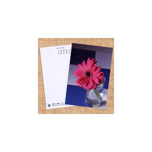 携帯・スマートフォン向け花の待ち受け画像サイト「mobile flower pot」でご好評いただいた画像「ガーベラ(ピンク)」をポストカードにしました。はがきとしてはもちろん、フォトスタンドに入れて飾るのも、メッセージカードとしてプレゼン...