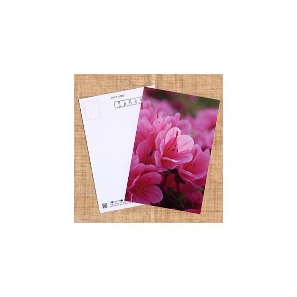 携帯・スマートフォン向け花の待ち受け画像サイト「mobile flower pot」でご好評いただいた画像「ツツジ(ピンク)」をポストカードにしました。はがきとしてはもちろん、フォトスタンドに入れて飾るのも、メッセージカードとしてプレゼント...