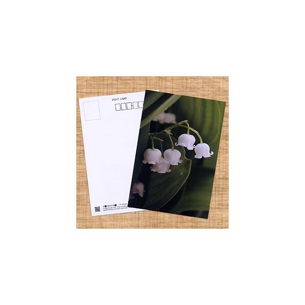 携帯・スマートフォン向け花の待ち受け画像サイト「mobile flower pot」でご好評いただいた画像「スズラン」をポストカードにしました。はがきとしてはもちろん、フォトスタンドに入れて飾るのも、メッセージカードとしてプレゼントに添える...