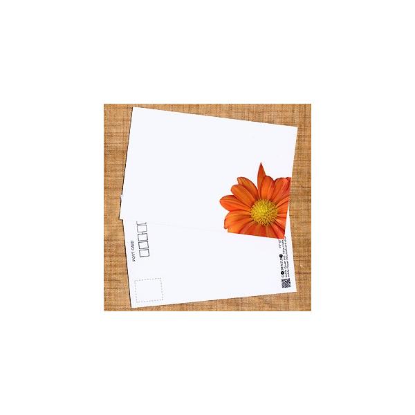 携帯・スマートフォン向け花の待ち受け画像サイト「mobile flower pot」でご好評いただいた画像「スプレーギク(オレンジ)」をポストカードにしました。インクジェット対応紙ですので、ご自宅のインクジェットプリンターでお好きなメッセー...