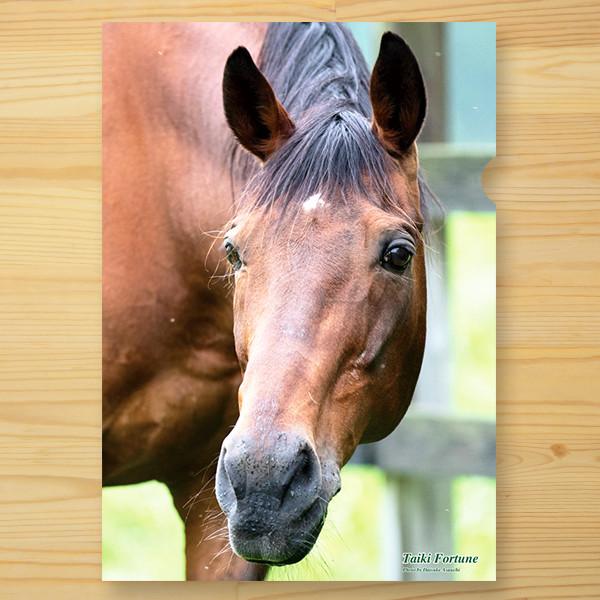 【お求めやすくなりました】アメリカ生まれ、日本で活躍し、レコードホルダーだった快速馬タイキフォーチュン。タイキシャトルとも一緒のレースに走っていました。おだやかで優しく見つめる笑顔にいやされます。お仕事のお供に、勉強のお供に、いつもタイキフ...