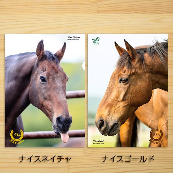 【お求めやすくなりました】ナイスネイチャは既にご紹介する必要もないほど有名な馬ですが、ナイスゴールドはネイチャそっくりの初年度の息子。裏表で２頭がいると、間違えそう！母のウラカワミユキとナイスネイチャもそっくりでしたので、ナイスゴールドはお...