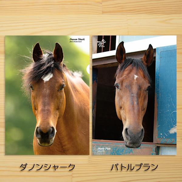 【お求めやすくなりました】日高のMTHケイムズでのんびり暮らす２頭のクリアファイルです。ダノンシャークは、アレルギーや蹄の問題がありますが、丁寧なケアのおかげで幸せに暮らしています。種牡馬として日本にやってきたバトルプラン、後からやはり種牡...