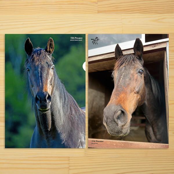 【発売日：2023年10月16日】【お求めやすくなりました】ナイスネイチャ35歳のバースデードネーション対象でフォスターホースとなった、テイエムプリキュアのクリアファイルです