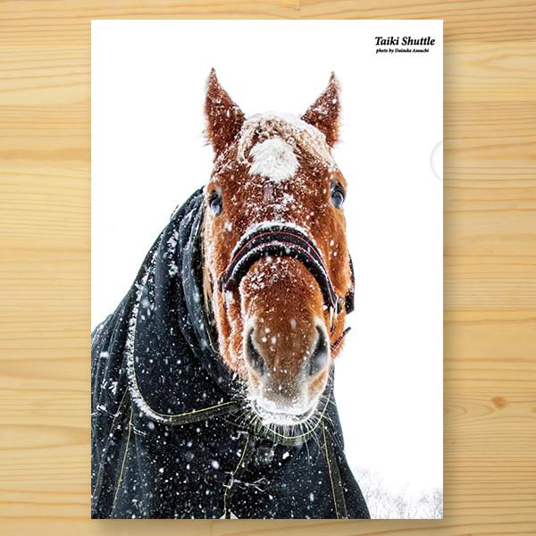【お求めやすくなりました】2024年2月に開催された「第6回ホースメッセ」の限定販売で大好評、現地で完売したタイキシャトルの新作クリアファイル。「＜引退馬協会＞卓上カレンダー FHセレクション 2024」の2月にも登場、顔に雪が積もり愛くる...
