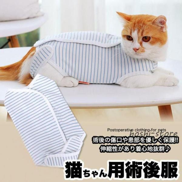 猫の皮膚病の治療中、その他術後の着用に大活躍間違いなしの術後服になります。伸縮性のある素材＆肌触りのコットン素材を採用する事により程よいフィット感を実現可能に。ストレスフリーな着心地となっております。また、通気性があり、傷口に術後服がべった...