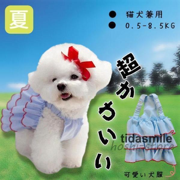 検索ワード ペット 服 安い 犬 春 夏 秋 クール メッシュ シャツ スポーツ ブランド おしゃれ かわいい 可愛い 猫 ドッグ ウェア 春夏 秋冬 ハイブランド 防寒 ドッグ ウェア ハロウイン ? 祭り 冷感 男の子 女の子 ドレス ...