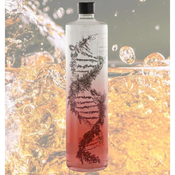 Aoi クラフトコーラのGIN 500ml コーラGIN クラフトジン ジン GIN スピリッツ 国産ジン コーラ クラフトコーラ コーラ風味 Aoi 贈り物 ギフト プレゼント お土産 手土産 贈答 お取り寄せ 人気 Aoi クラフトコー...