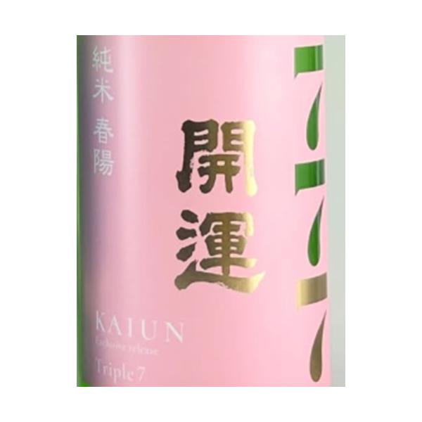 開運 かいうん 純米 じゅんまい 春陽 しゅんよう 777-Triple7 トリプルセブン 720ml 土井酒造場 日本酒 純米酒 チャレンジ酒 静岡県 掛川市 kaiun Doi Shuzojo 贈り物 ギフト プレゼント お土産 手土産