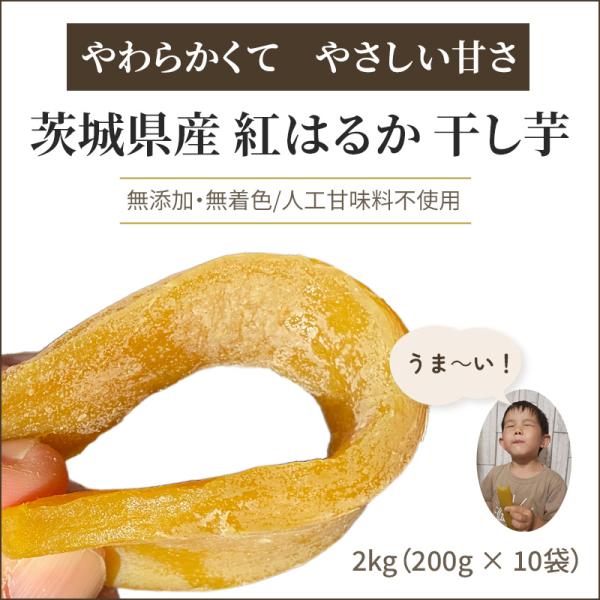 【年末年始の配送お休みについて】2025年12月29日から2026年2026年1月5日まで配送業務をお休みさせていただきます。システム上、この期間のお届け指定ができるようになっていますが、お休み以外の日を指定していただけると幸いです。(商品...