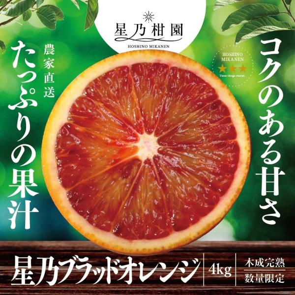 【発売日：2027年02月20日】■愛媛県産 星乃ブラッドオレンジ■4kg[キーワード]みかん 蜜柑 ミカン 国産 愛媛県産