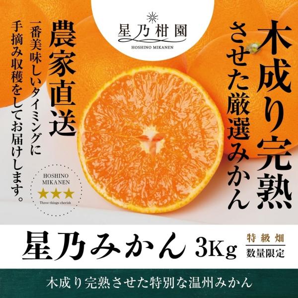 【発売日：2025年11月20日】■愛媛県産 温州みかん■3kg[キーワード]みかん 蜜柑 ミカン 国産 愛媛県産