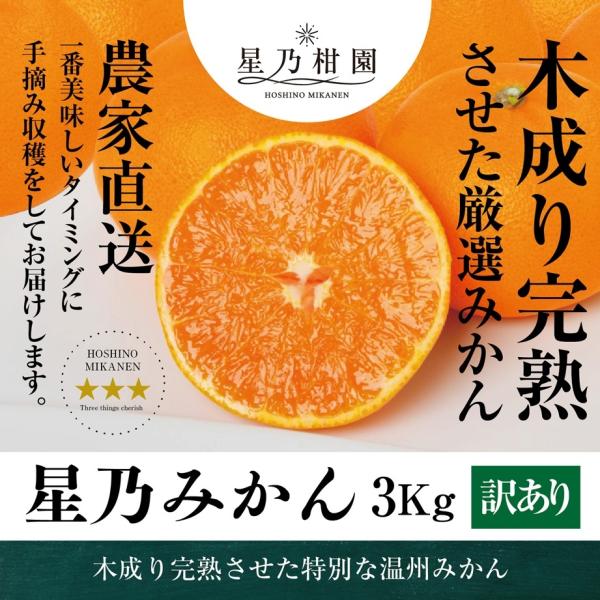 【発売日：2026年11月20日】■愛媛県産 温州みかん（訳あり）■3kg[キーワード]みかん 蜜柑 ミカン 国産 愛媛県産