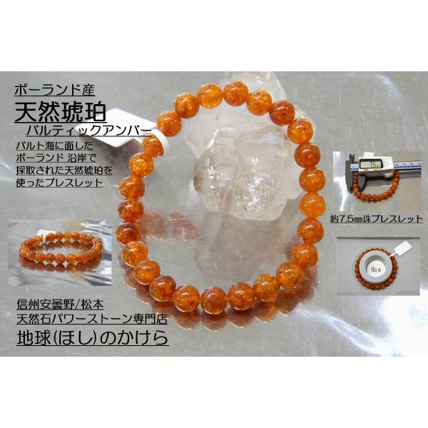 バルト海に面したポーランド高品質な琥珀が産出されます古くから健康と長寿、生命力を上げ富と健康をもたらすパワーストーンとして知られ風水では四神獣『白虎』を象徴する宝石とされ金運や財運を増やす石とされています約7.5mmmm珠を使ったブレスレッ...