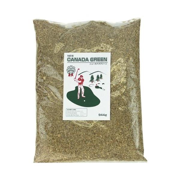 芝生 種 芝生種