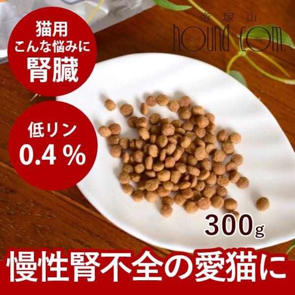 ●慢性腎不全のネコに対処するために開発された療法食●タンパクとリンの含有量を減らす事で腎臓に配慮されています。★美味しい療法食■内容量300g■原材料コーン、獣脂ミール、鳥タンパク（乾燥）、ライス、エンドウ豆粉末、鳥脂肪、牛脂、ビートパルプ...