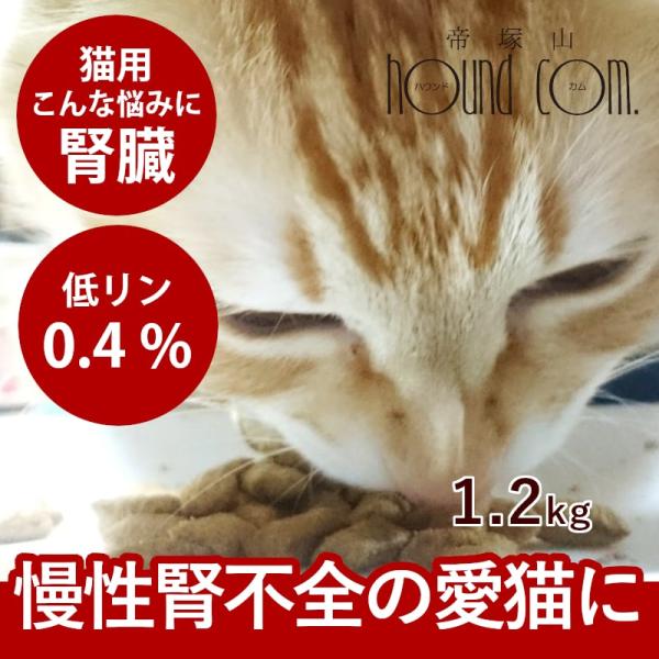 ●慢性腎不全のネコに対処するために開発された療法食●タンパクとリンの含有量を減らす事で腎臓に配慮されています。★美味しい療法食■内容量1.2kg■原材料コーン、獣脂ミール、鳥タンパク（乾燥）、ライス、エンドウ豆粉末、鳥脂肪、牛脂、ビートパル...