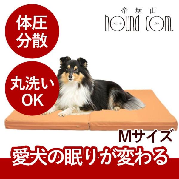 目指したのは、愛犬の快適な睡眠に重要な「通気性」「体圧分散性」「清潔」の追求。 犬も人間と同じように、健康な生活を送るためには良質な睡眠が欠かせません。 犬の平均睡眠時間は12時間〜15時間といわれ、一日の大半が睡眠の時間に使われます。 良...