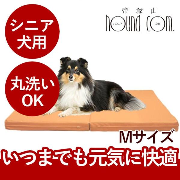 目指したのは、愛犬の快適な睡眠に重要な「通気性」「体圧分散性」「清潔」の追求。 犬も人間と同じように、健康な生活を送るためには良質な睡眠が欠かせません。 犬の平均睡眠時間は12時間〜15時間といわれ、一日の大半が睡眠の時間に使われます。 良...