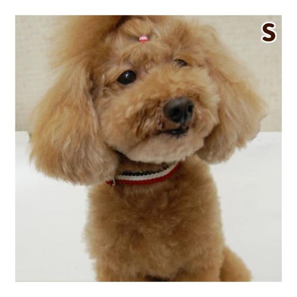 犬 首輪 犬の首輪 犬首輪|色旗のトリコロールを元に、元気で爽やかなデザインはどんな毛色のわんちゃんにも映えます。ソフトで馴染みやすく、シンプル＆カジュアルなシリーズです。○ご使用方法○＊実寸の首回りより1〜1.5cmほど大きく調整するのが...