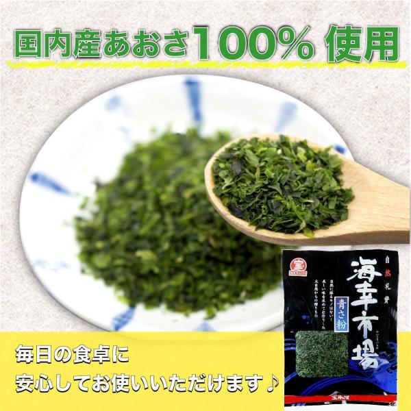 あおさ粉 72g 送料無料 国内産 青のり粉 海藻 注目ブランドのギフト