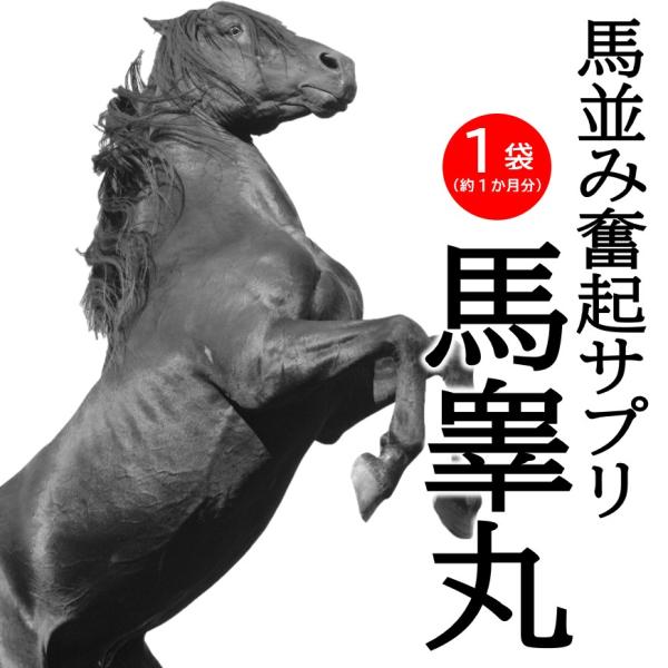 1袋60粒入りで約１か月分のお得パック！古くから精力系の栄養成分として愛されてきた「馬の睾丸」そこに馬ペニス、馬プラセンタ、シトルリンを追加配合したのが本品、その名もズバリの「馬睾丸（ばこうがん）」です。まだまだ生涯現役でいたい方これからが...