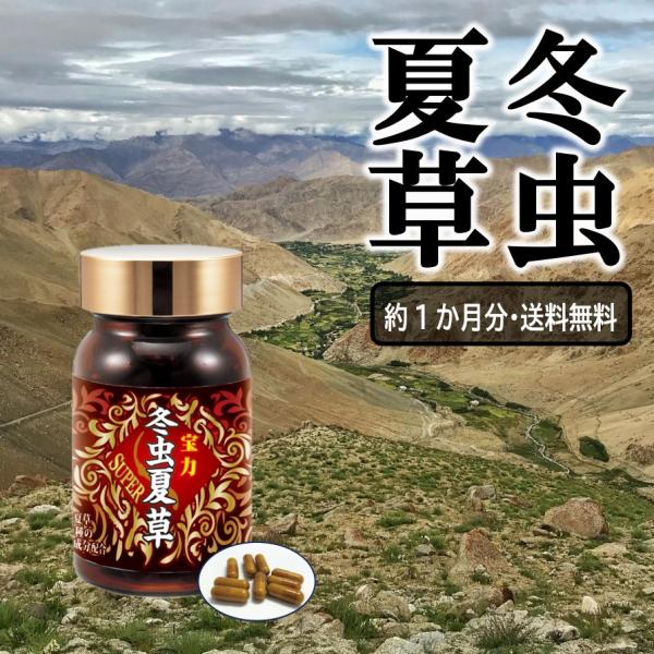 1本60粒入りで約１か月分！古くから重宝されてきた冬虫夏草。その冬虫夏草にマカニンニクL-シトルリン亜鉛アヒル胆蜂の子カロぺプタイトすっぽん血液蛇の胆L-アルギニン追加配合した男性用冬虫夏草です。まだまだ生涯現役でいたい方これからが第2・第...